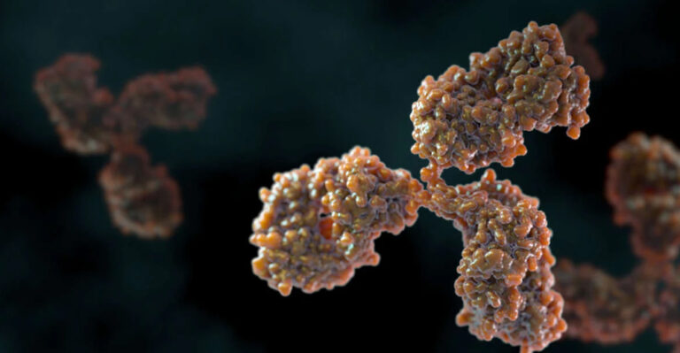 Polyclonal vs. Monoclonal vs. Recombinant Antibodies: Pros, Cons, and ...