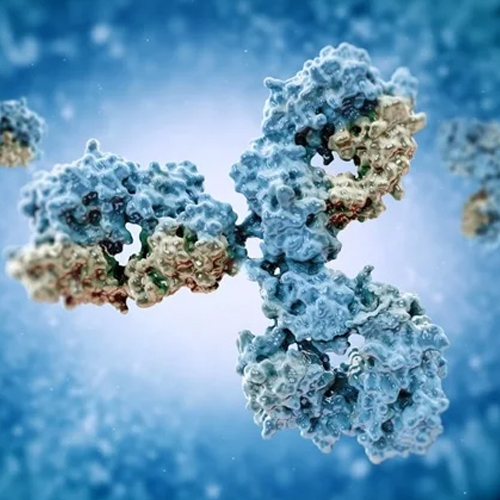 Recombinant Antibodies - KinesisDx